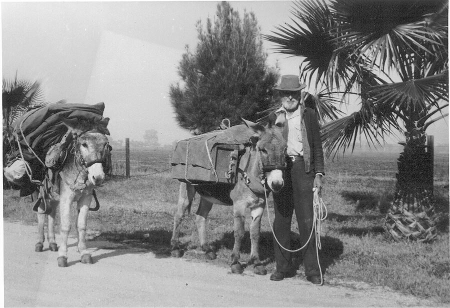 Gallery – Phoenix Homesteads